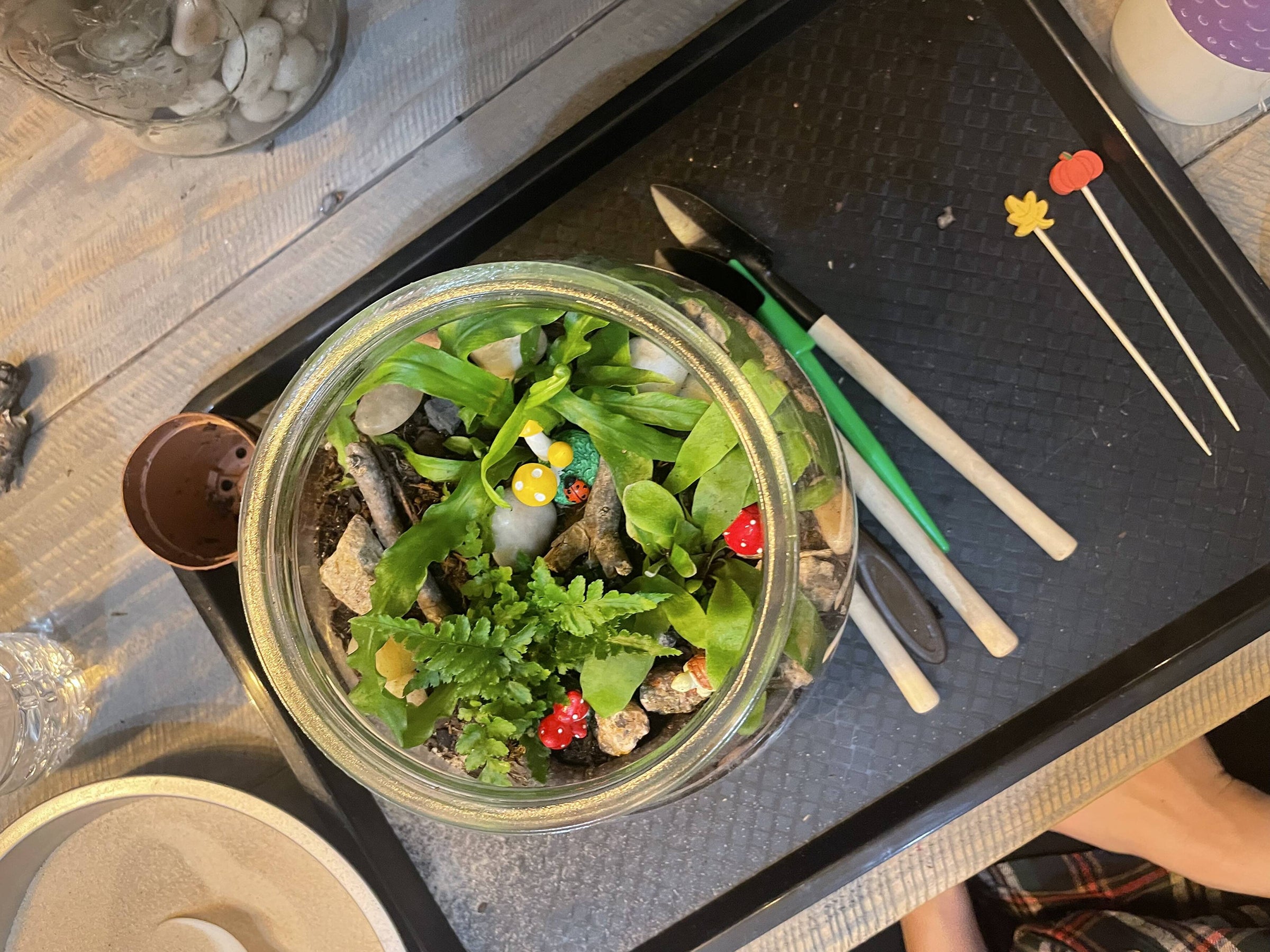 Service | Terra Botanical Studio