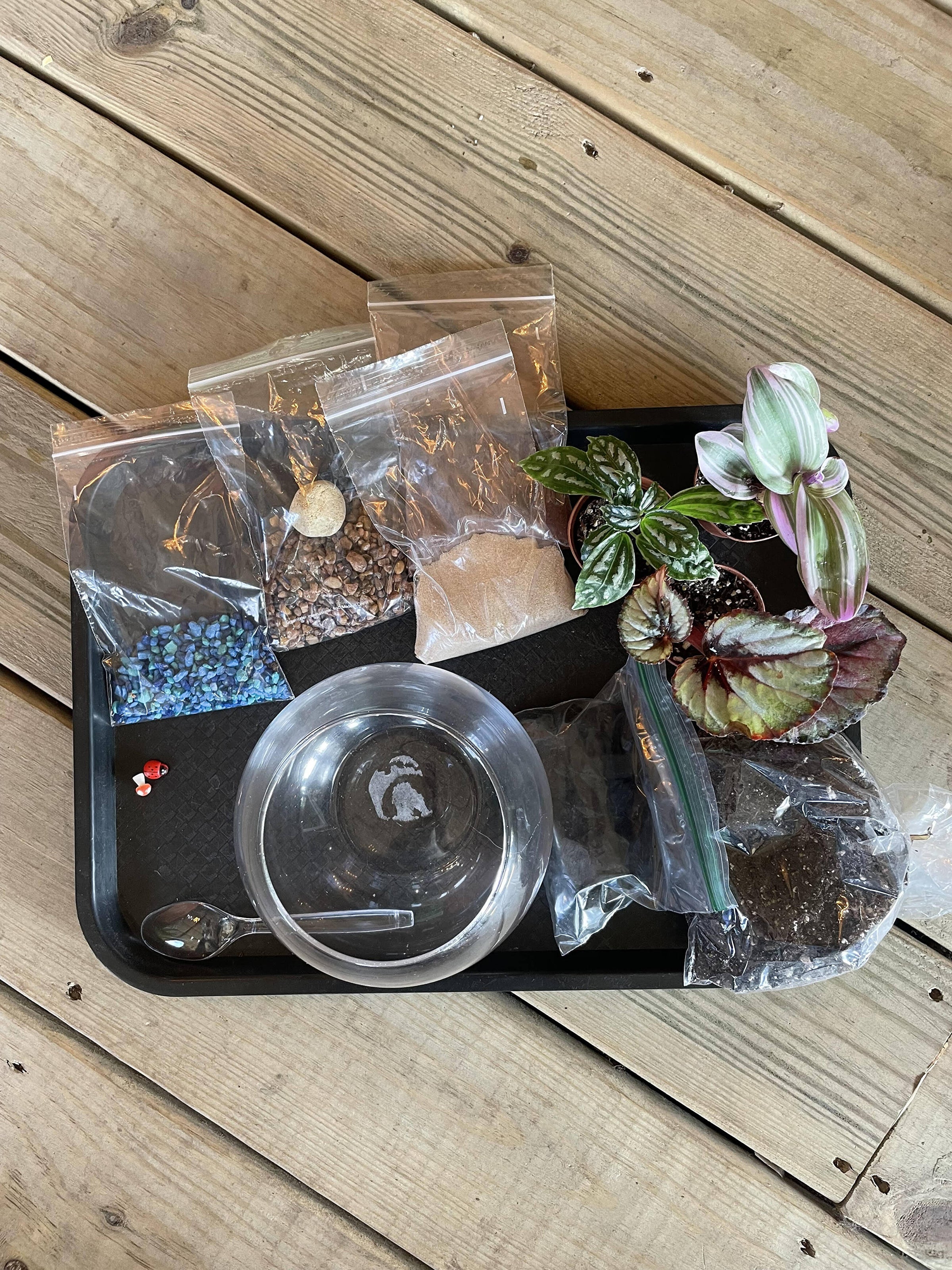 Service | Terra Botanical Studio
